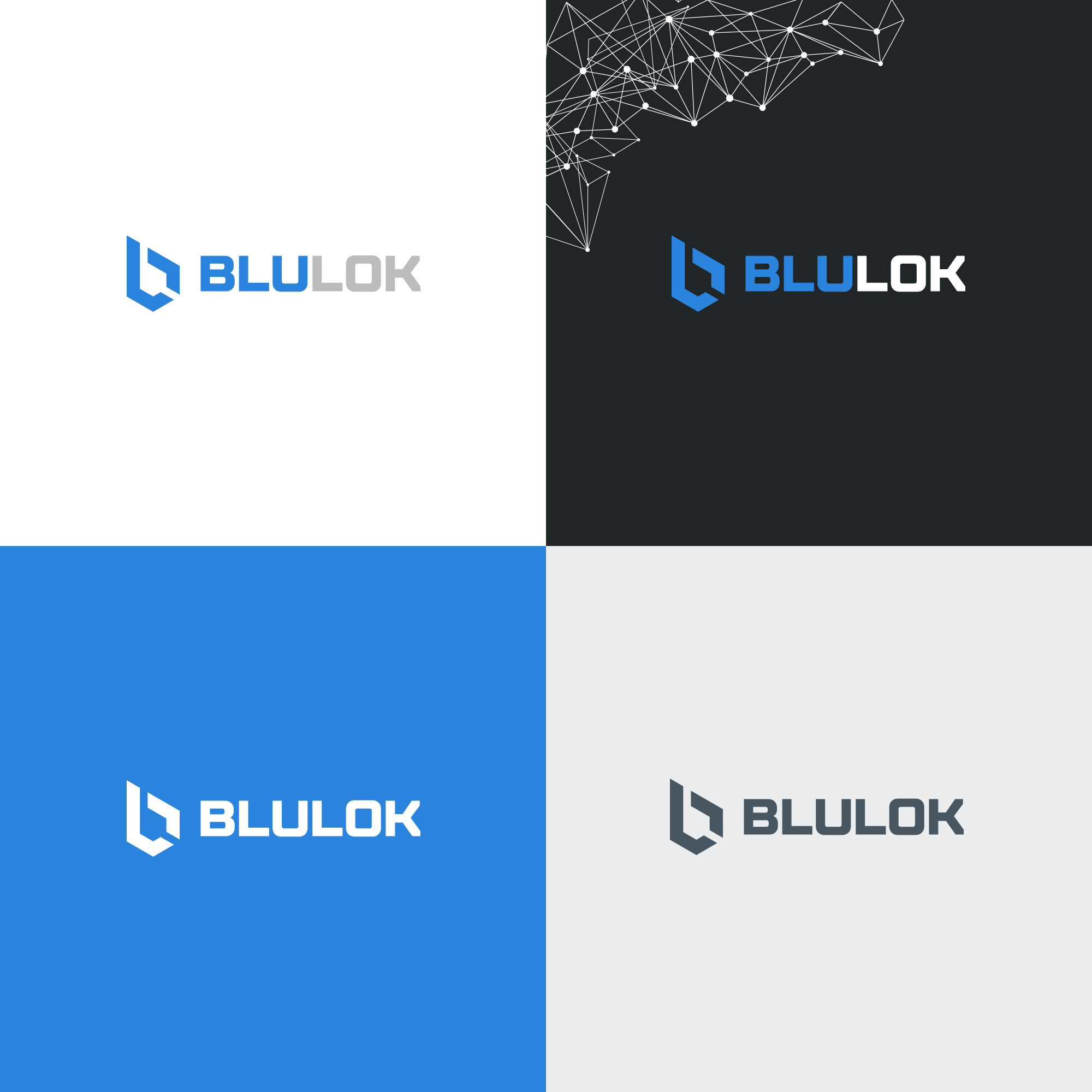 Bold, Serious Logo Design for BluLok by ERGO | Design #33170781
