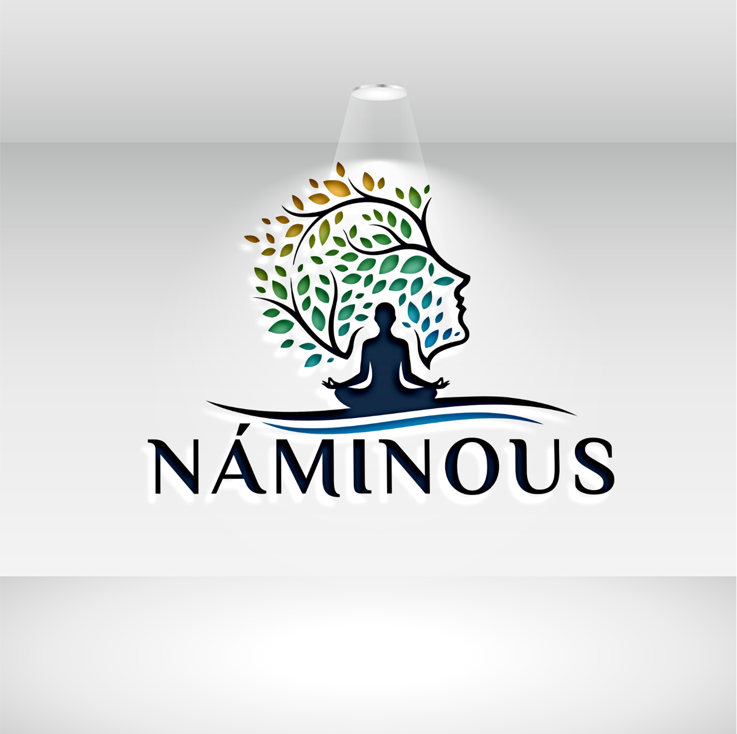 Elegant, Playful Logo Design for Náminous by MD ROKON UDDIN | Design #33287420