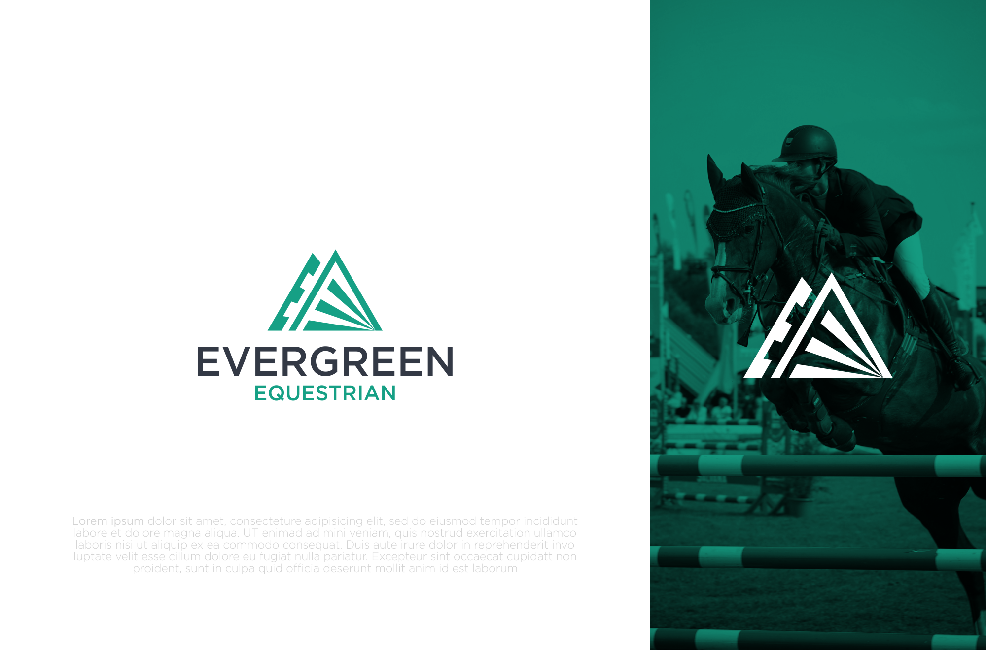 Modern, Professional, Equestrian Logo Design for Evergreen Equestrian ...