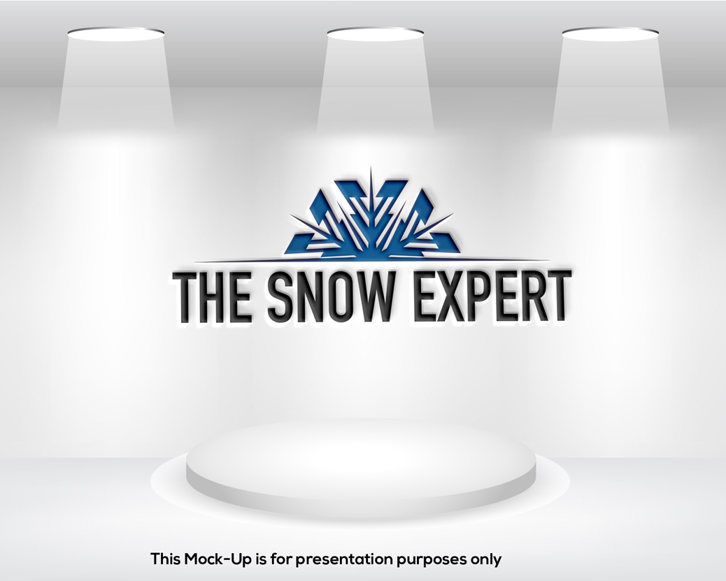 Serious, Professional, Expert witness, law firms, snow and ice ...