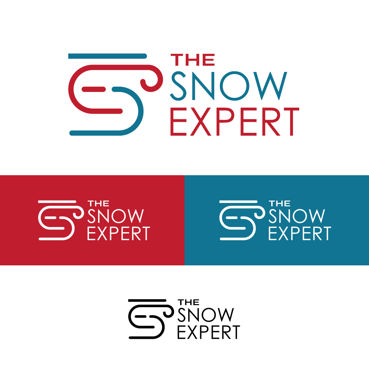 Serious, Professional, Expert witness, law firms, snow and ice ...