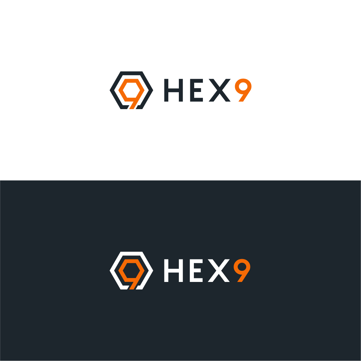 Modern, Serious, Information Technology Logo Design for HEX9 by ...