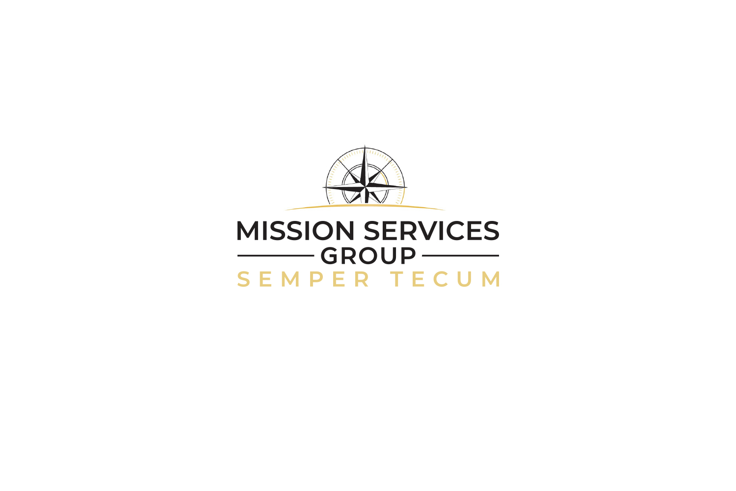 Serious, Professional, Crisis Management, security consulting. Logo ...