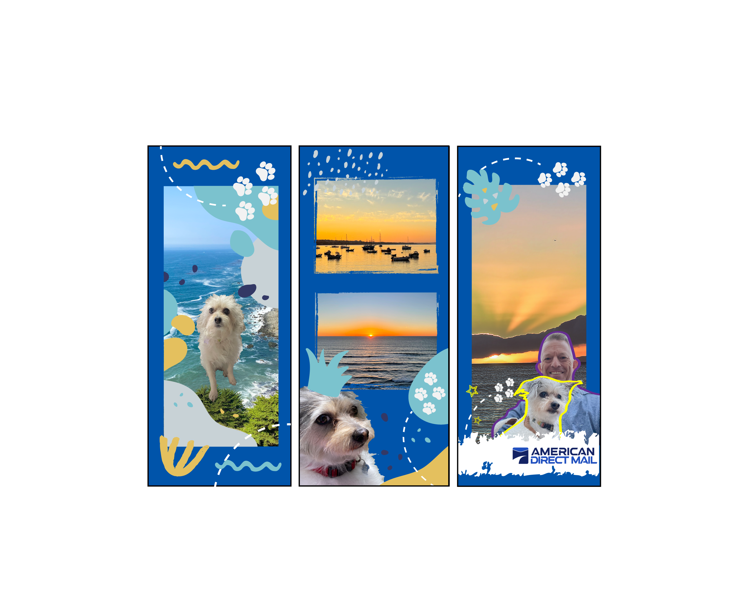 Colorful, Bold Graphic Design for ADM by GLB | Design #33666440