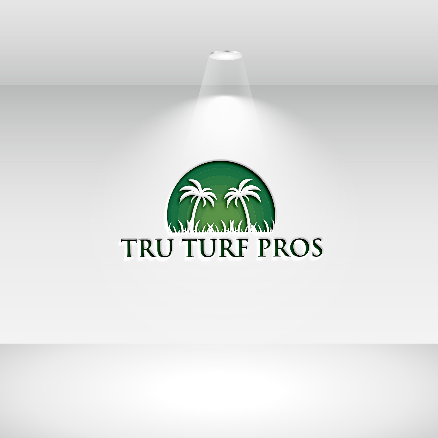 Elegant, Playful Logo Design for Tru Turf Pros by Deziners Zone ...