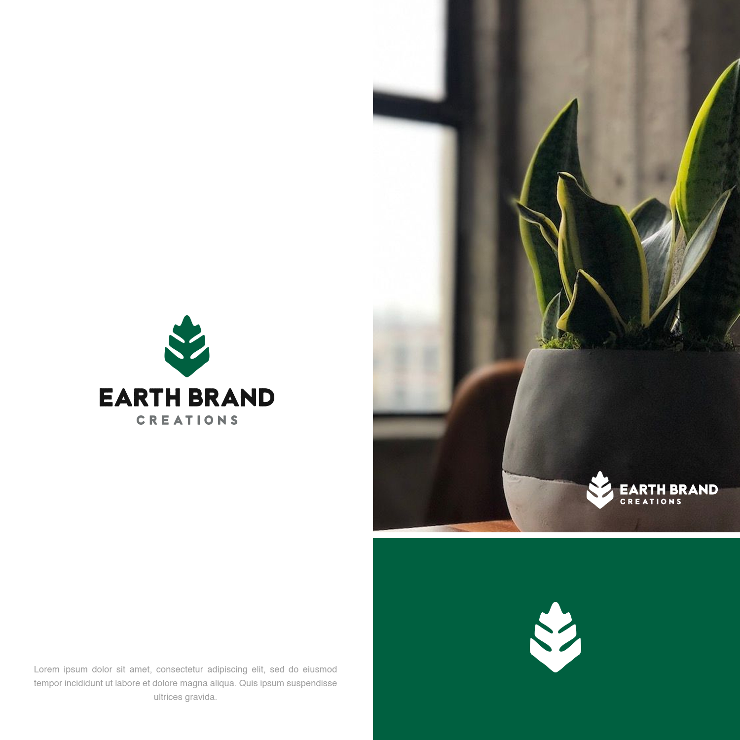 Colorful, Bold Logo Design for Earth Brand Creations by Pixell Monster ...