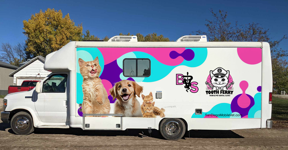 Playful, Upmarket, Veterinary Car Wrap Design for a Company by ...
