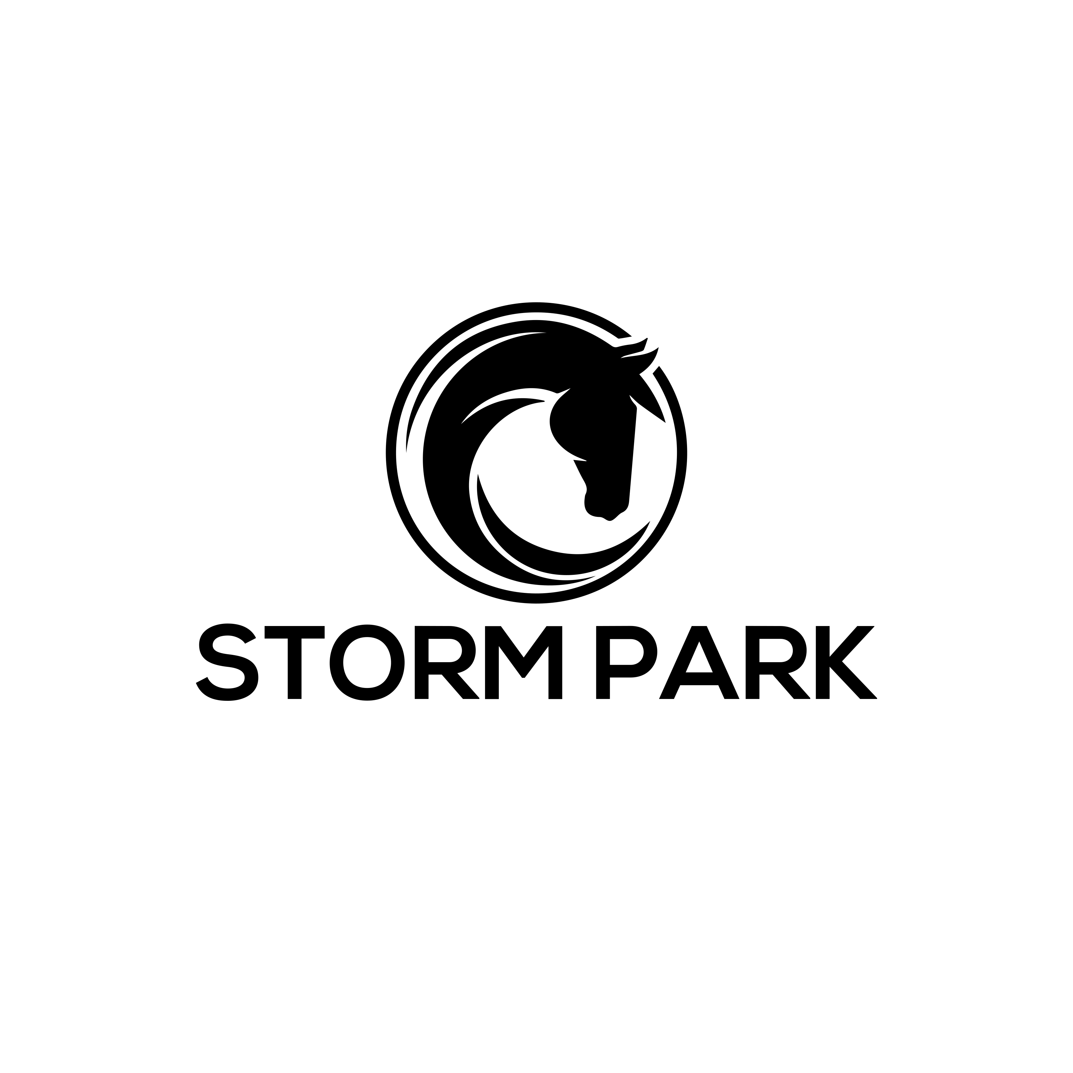 Logo Design for Storm Park by Inkspire. | Design #34734448