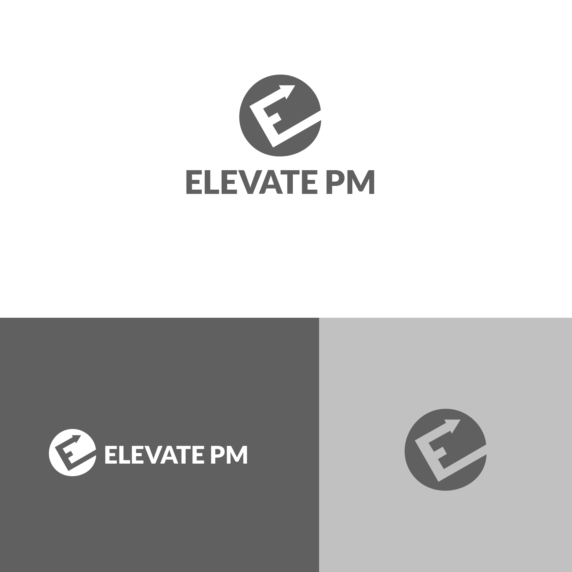 Conservative, Serious, Professional coaching and consulting services with a focus on project ...