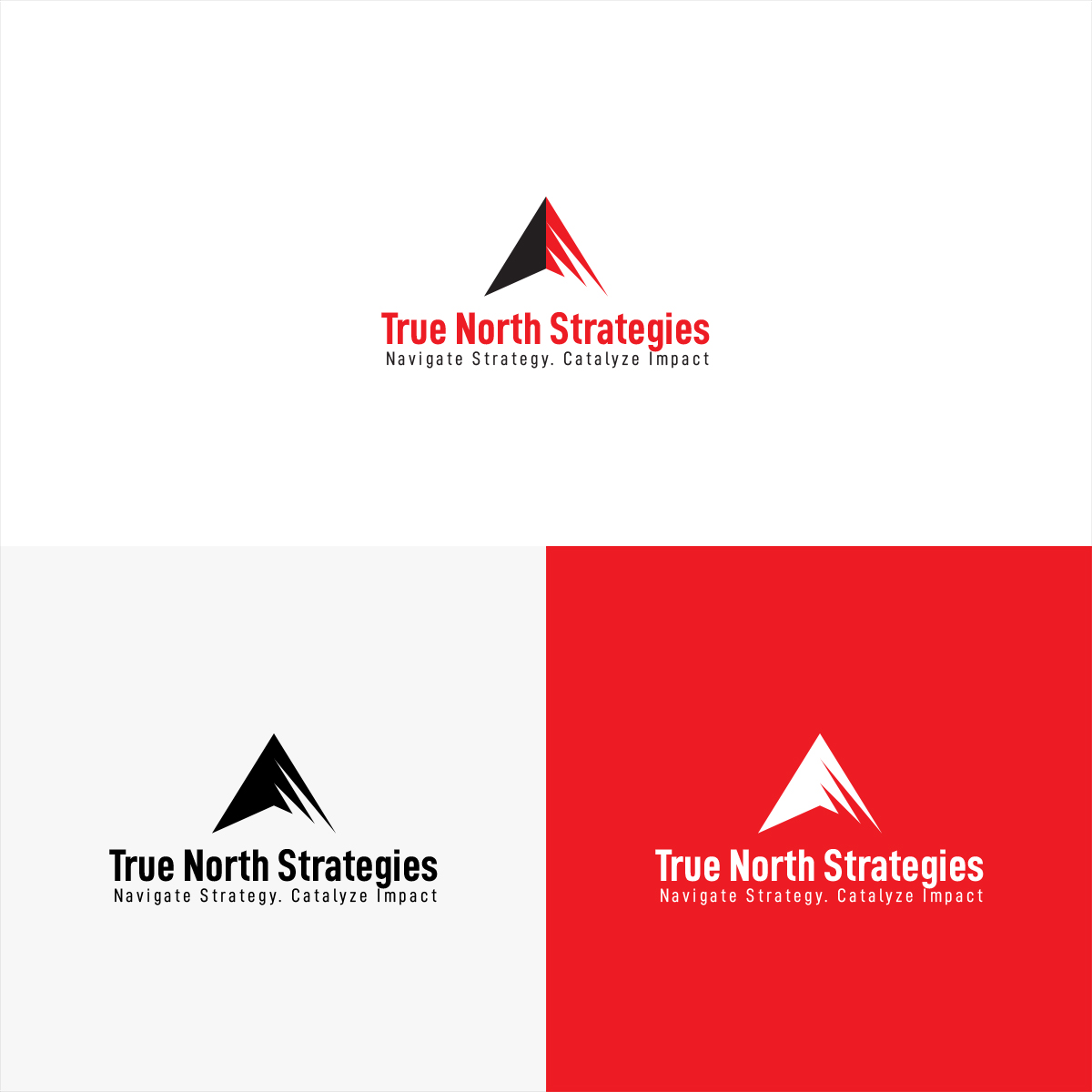 Elegant, Playful Logo Design for True North Strategies | Navigate ...