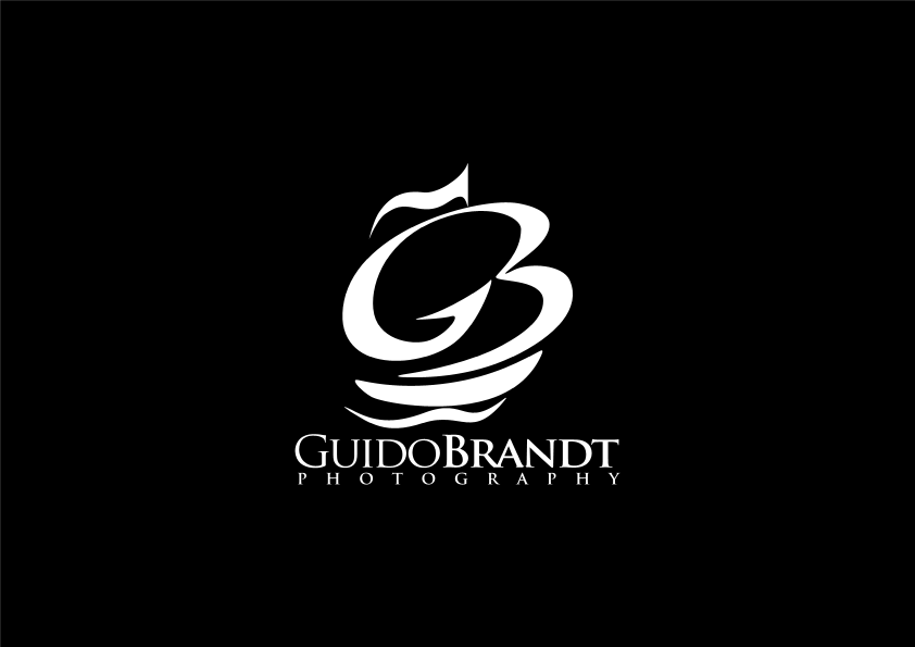Elegant, Traditional, Communication Logo Design for Guido Brandt ...