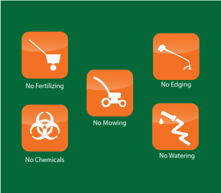 Graphic Design Graphic Design for a Company by TedAtkinson | Design ...