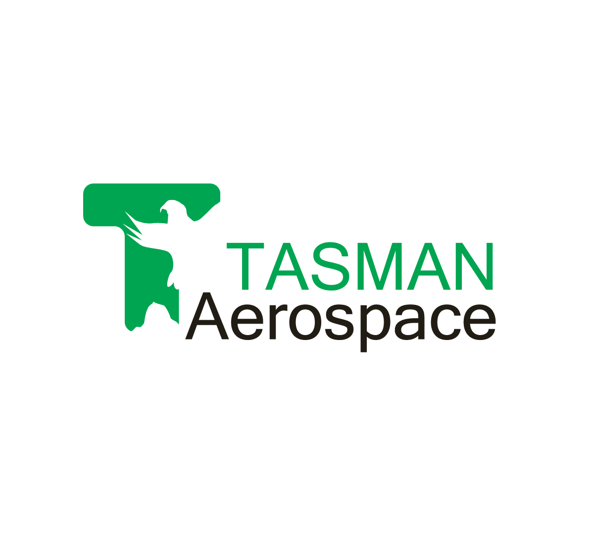 It Company Logo Design for Tasman Aerospace by sai | Design #3604240