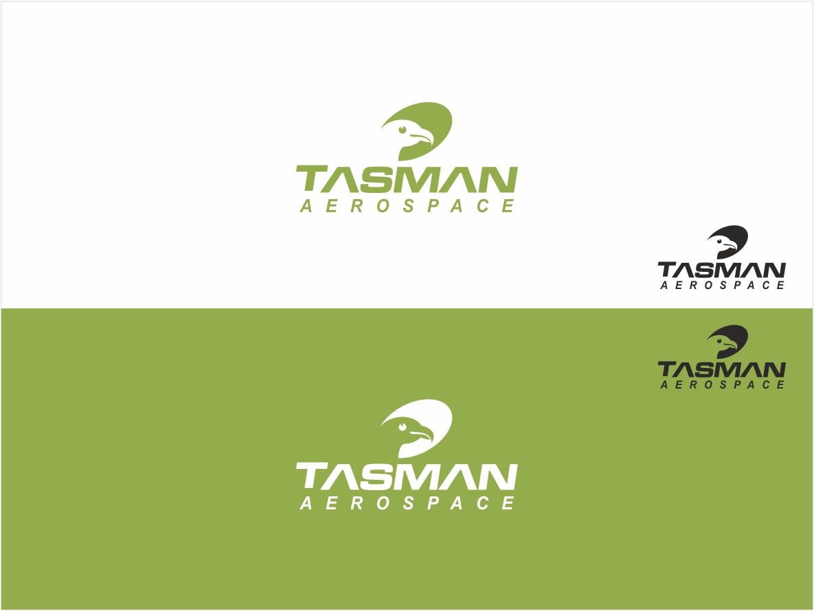 It Company Logo Design for Tasman Aerospace by Logocraft | Design #3488003