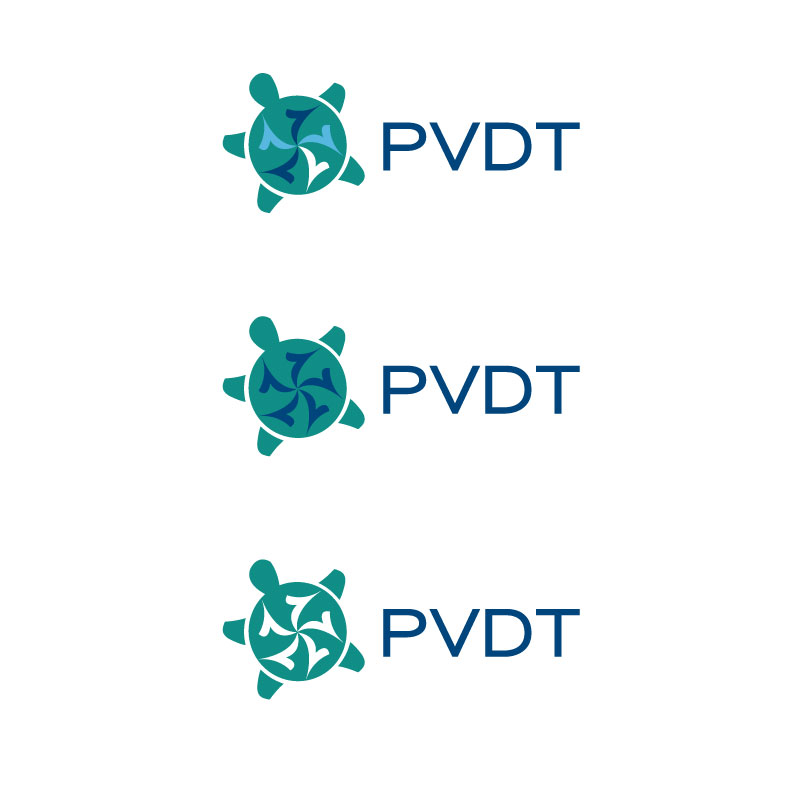 Personable, Bold, It Company Logo Design for PVDT (or None) by ...