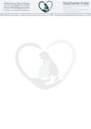 Veterinary Letterheads | 11 Custom Veterinary Letterhead Designs