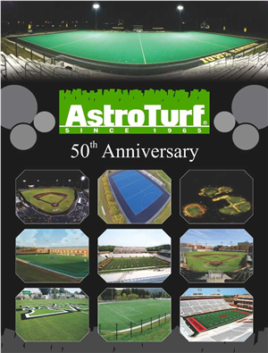 Print Advertisement for Synthetic Turf Company | 12 Advertisement ...