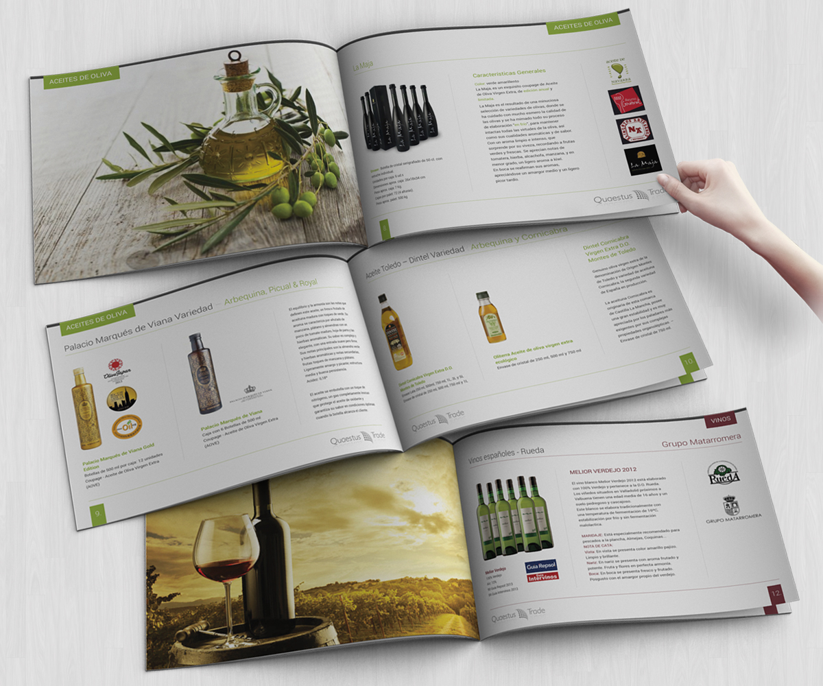 Professional Modern Catalogue Design For Quaestus S L By 