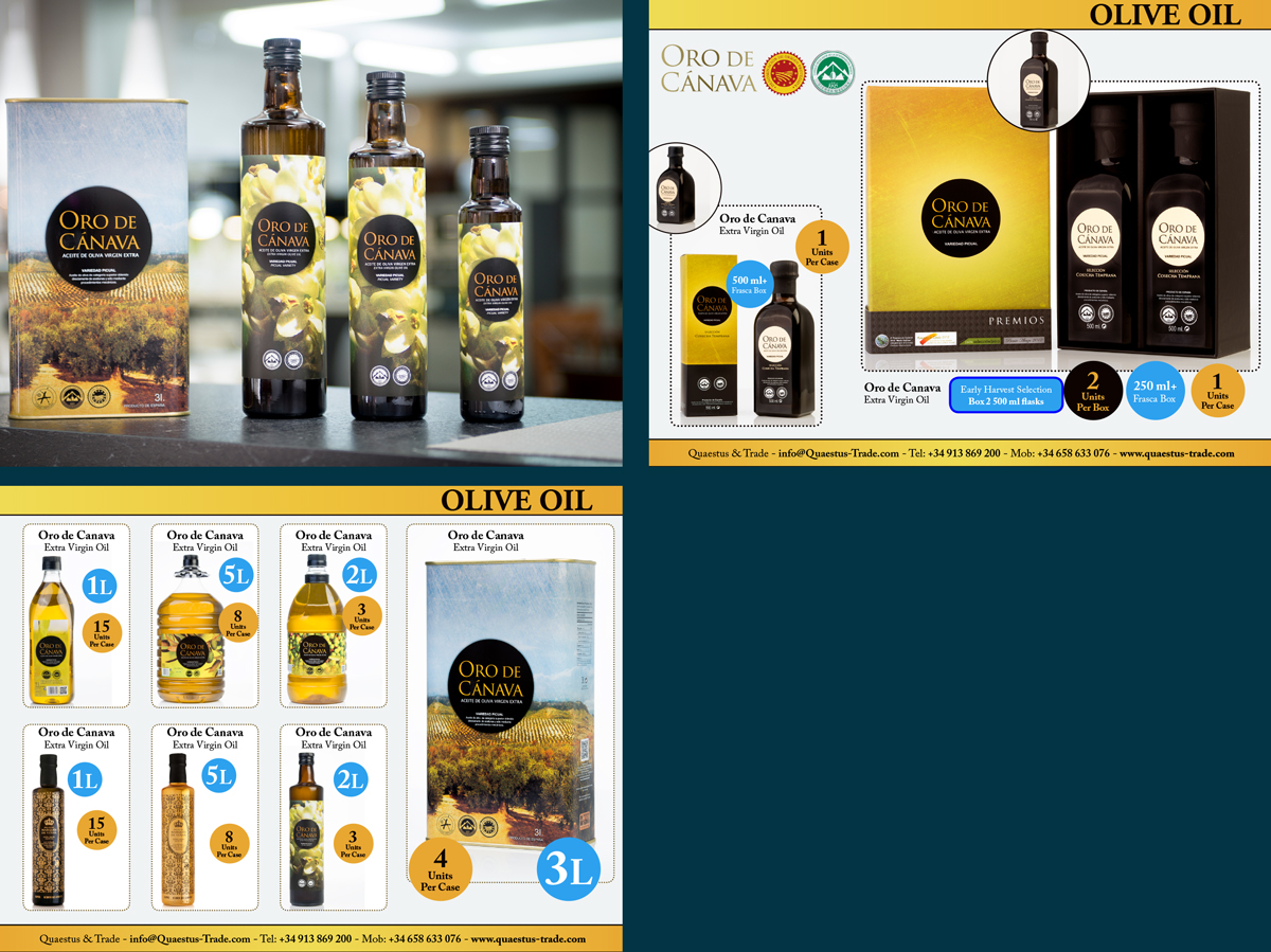 Professional, Modern, Trade Catalogue Design for Quaestus & Trade S.L ...