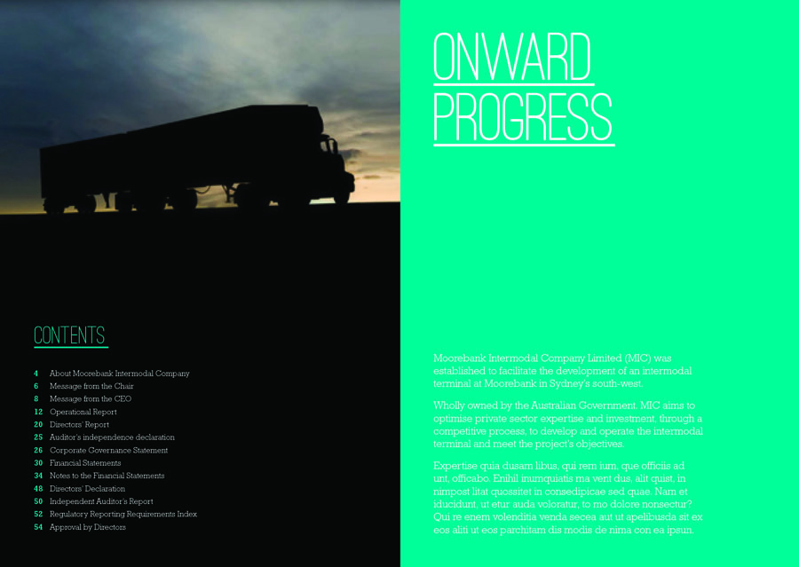 Government Graphic Design for a Company by foo | Design #4431327