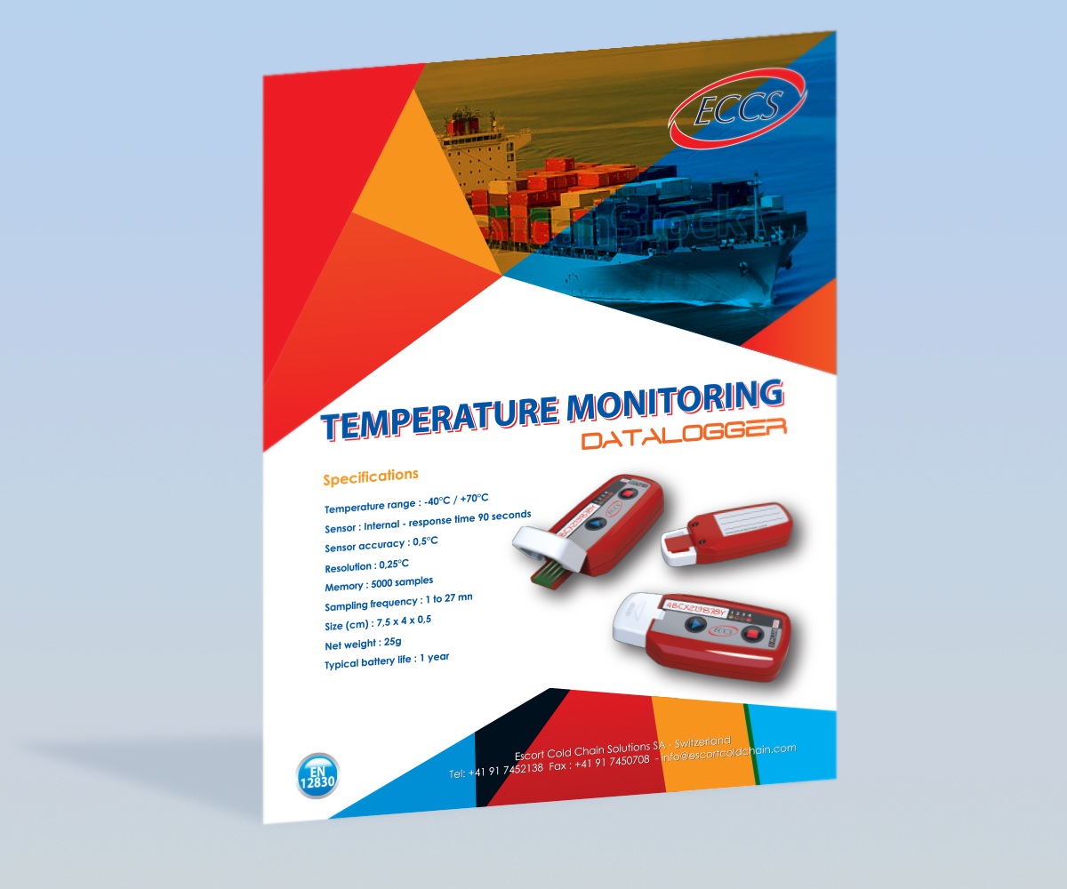 Colorful, Economical, Electronic Flyer Design for ECCS by AizerDS ...