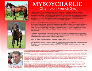 Racing Brochure Design Templates | 1000's of Racing Brochure Design ...