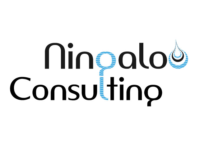 Modern, Professional, Training Logo Design for Ningaloo Consulting by ...