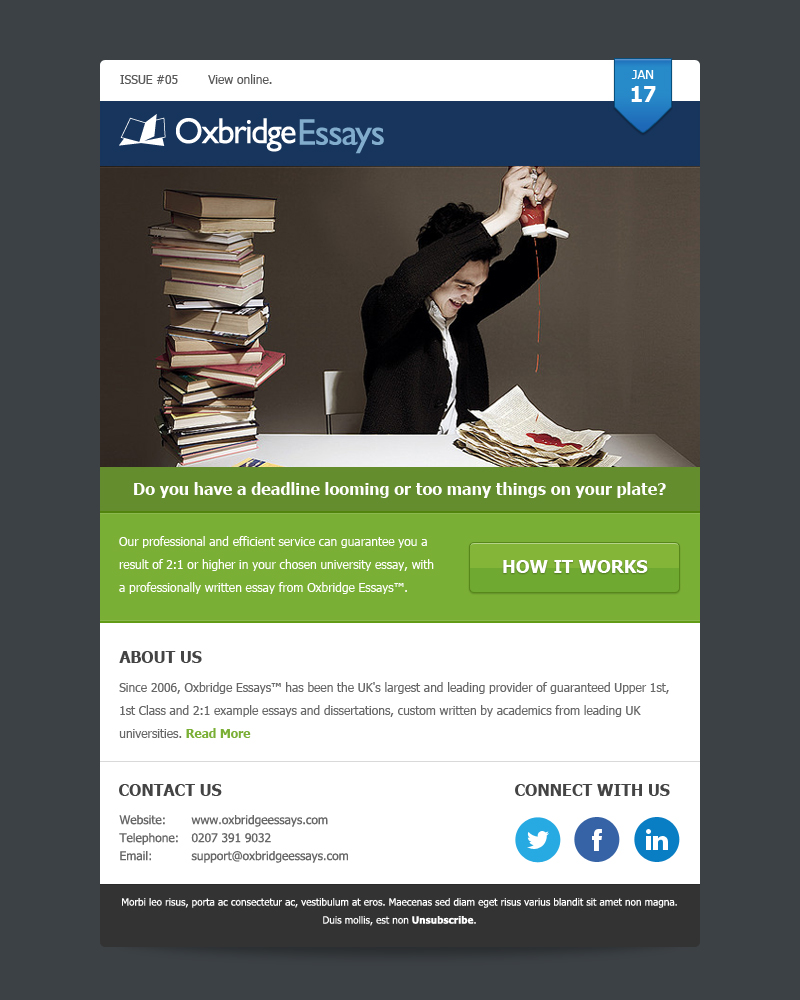 Elegant, Playful, It Company Newsletter Design for a Company by Budi ...