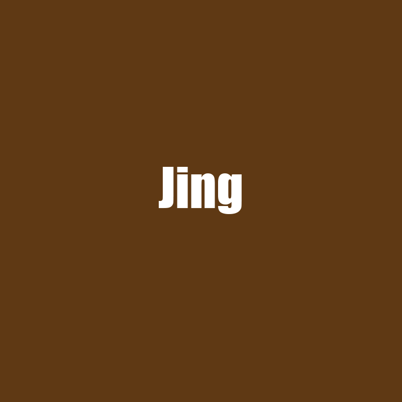 Shipping Logo Design for Jing by Alchemist | Design #1423163