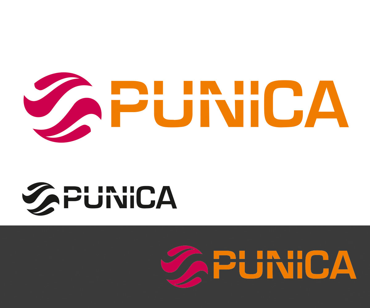 Elegant, Modern, It Company Logo Design for Punica Solutions by pranavelanji | Design #5359490