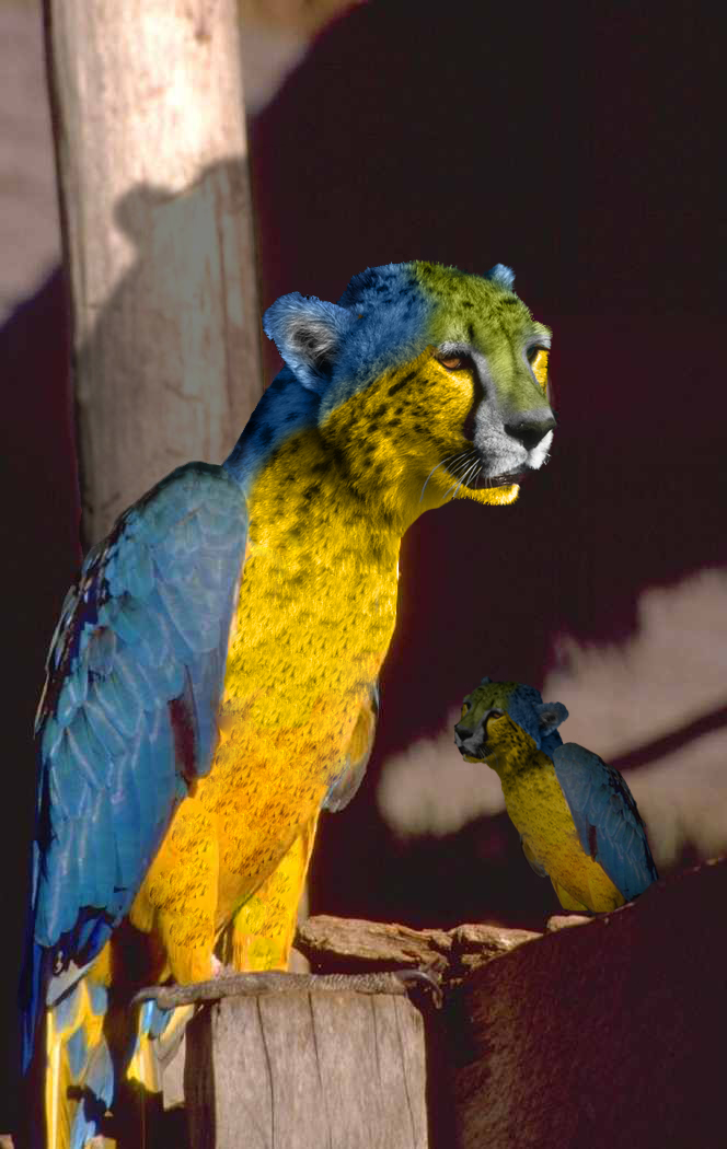 Photoshop Submission for 'Animal Crossbreed' Contest | Design #9111919