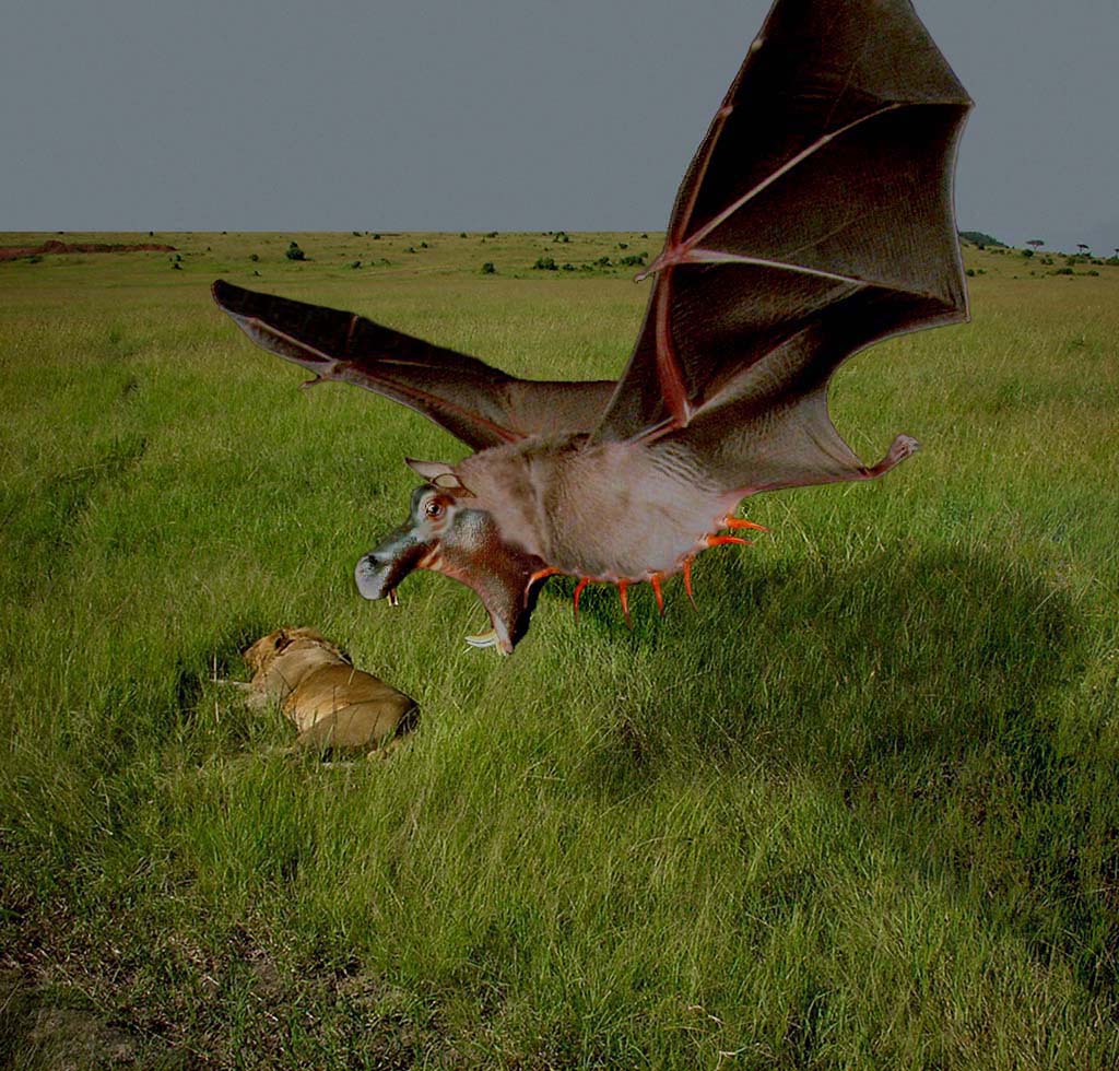 Photoshop Submission for 'Chimaera 6' Contest | Design #9106029