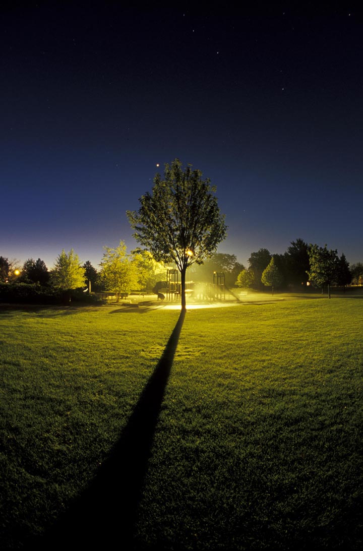 Photograph Submission for 'Light and Dark' Contest | Design #9099138