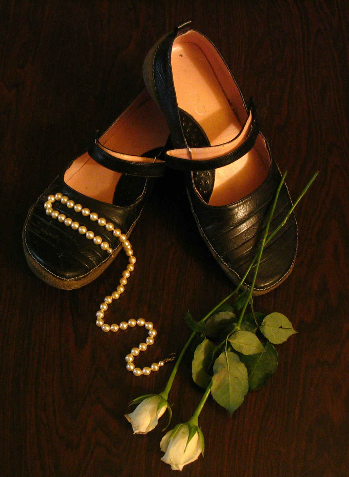 Photograph Submission for 'Shoes' Contest | Design #9102876