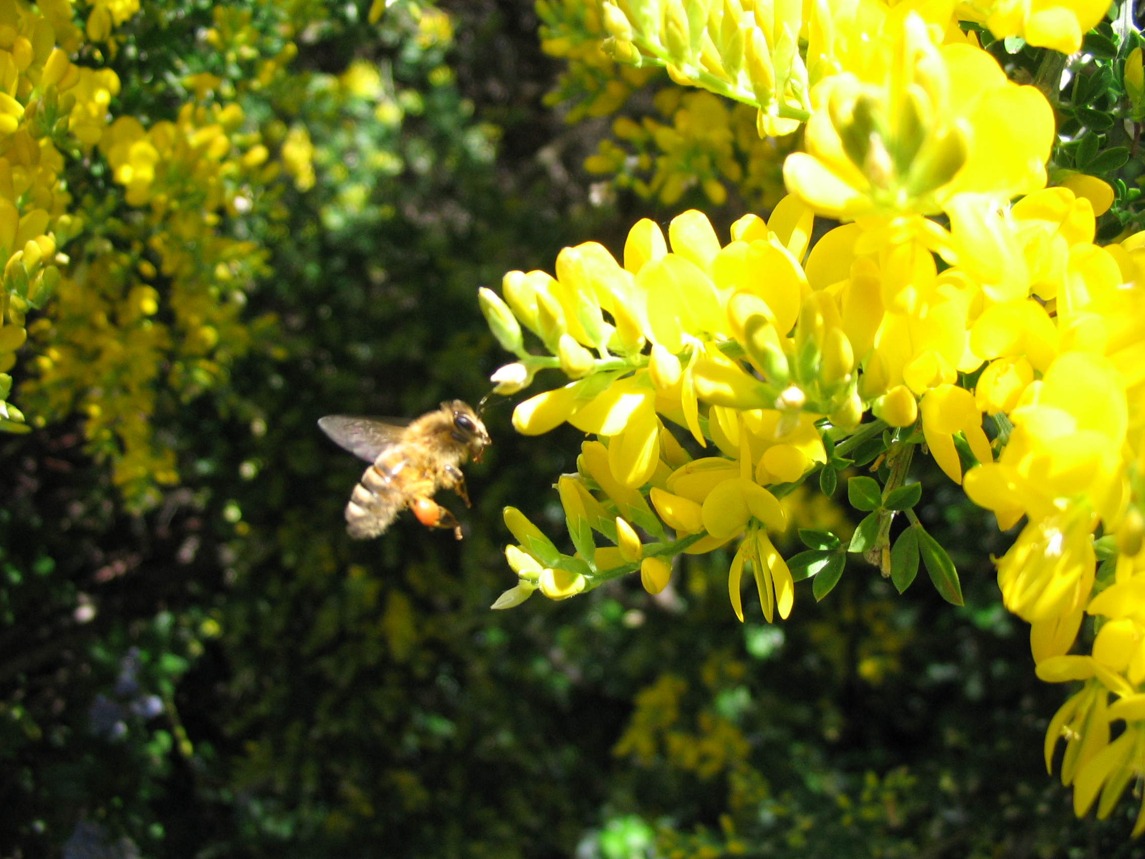 Photograph Submission for 'Super Sharp' Contest | Design #9093132