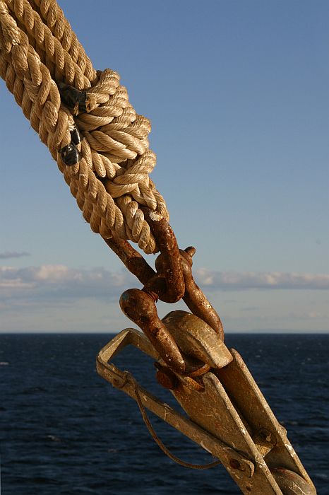 Photograph Submission for 'Rope' Contest | Design #9083264