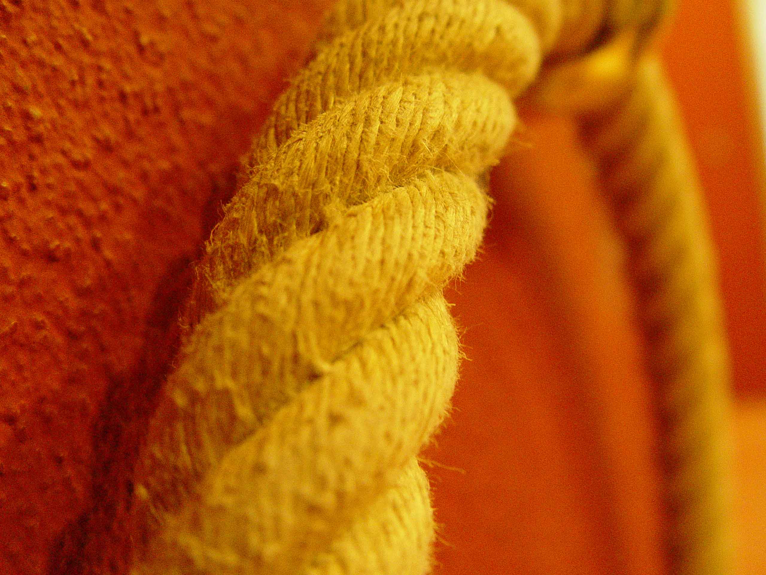 Photograph Submission for 'Rope' Contest | Design #9083456