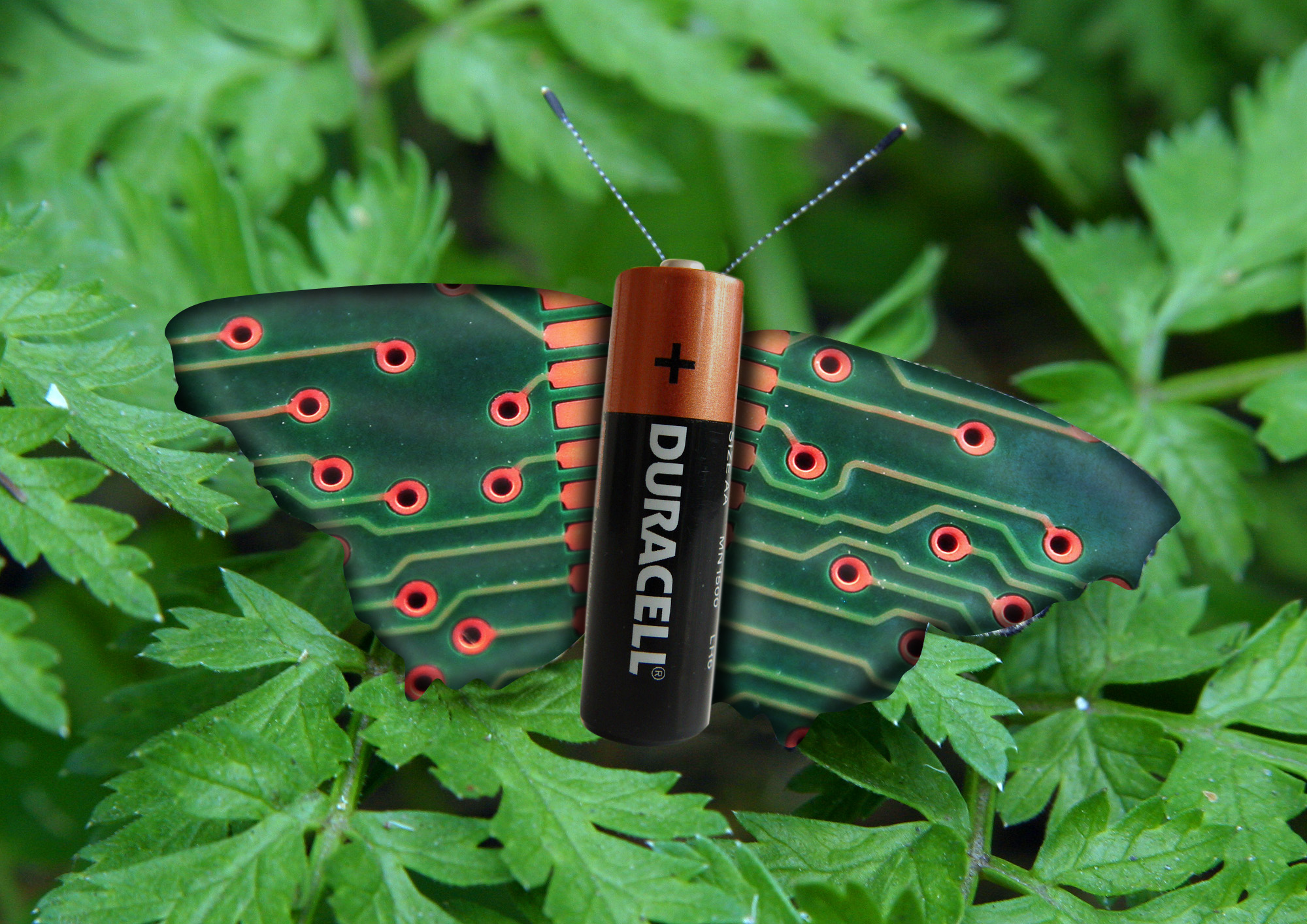 Photoshop Submission for 'movieman21 vs. strown vs. tonebarge' Contest ...