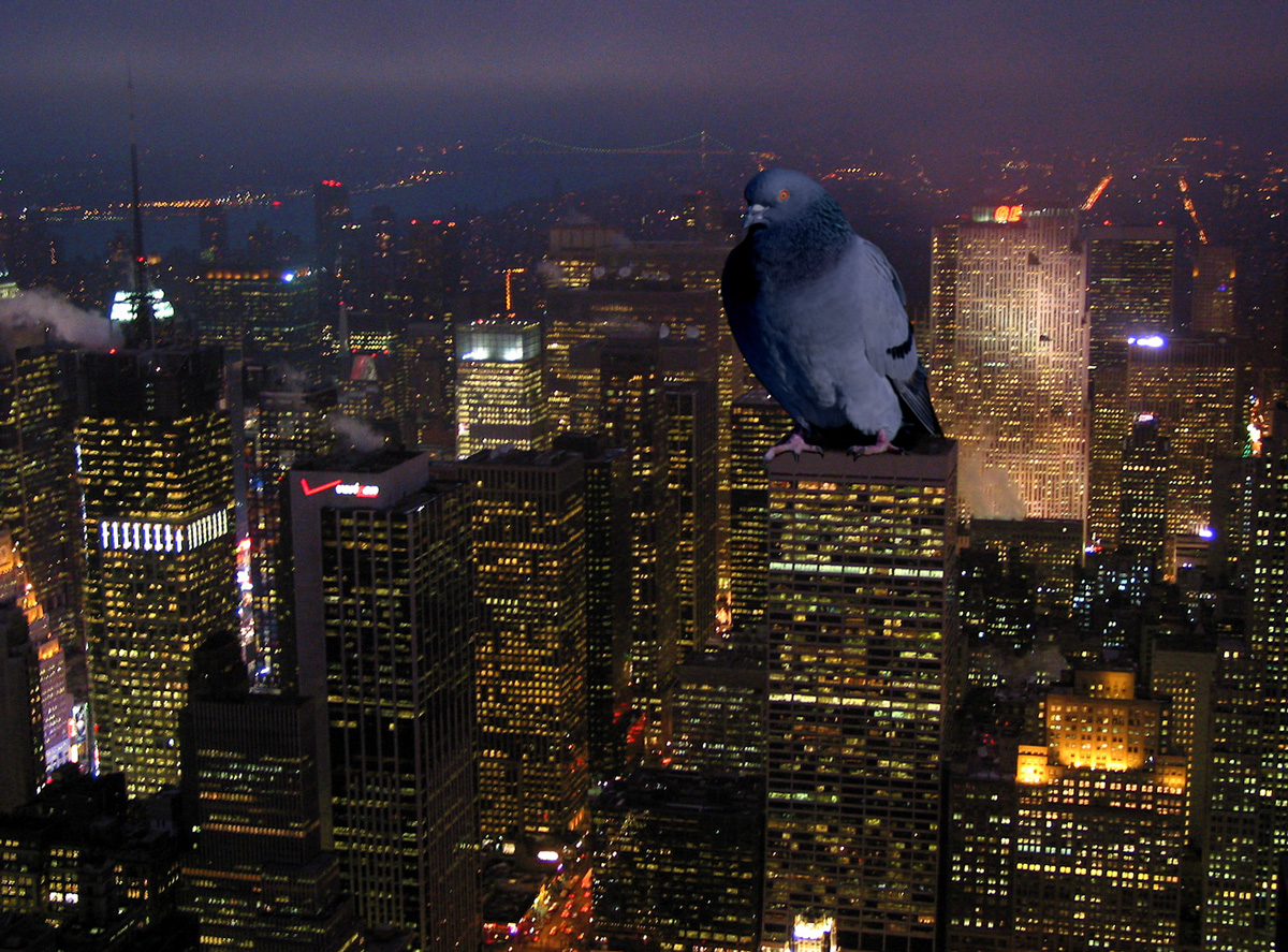 Photoshop Submission for 'Exaggeration City 6' Contest | Design #9068745