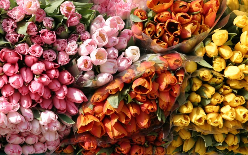 Photograph Submission for 'Fill the Frame 2' Contest | Design #9076544