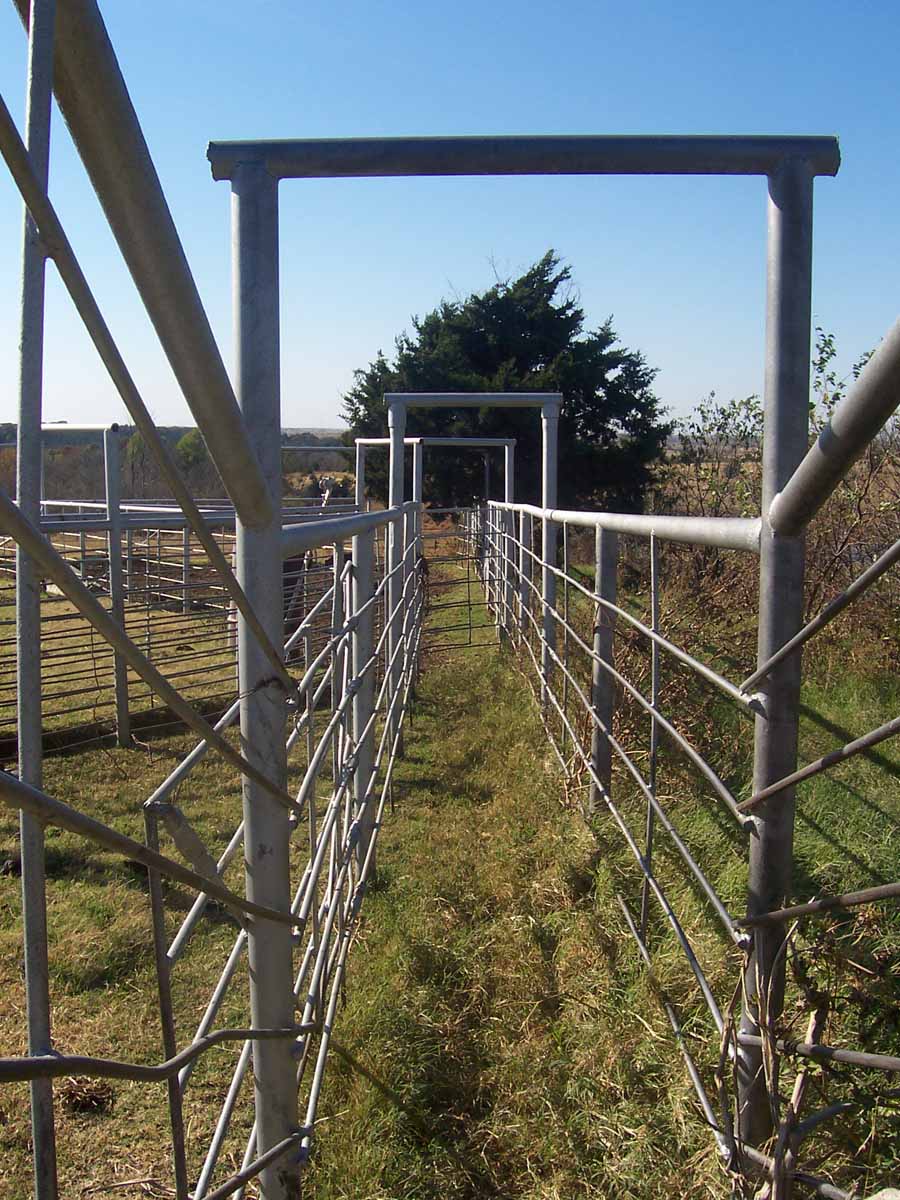 Photograph Submission for 'Converging Parallels' Contest | Design #9066206