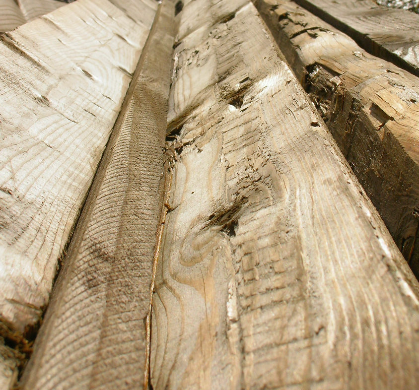 Photograph Submission for 'Converging Parallels' Contest | Design #9066230