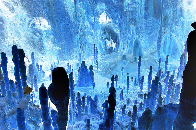 Photograph Submission for 'Bonus: Nature Negatives (Part A) ' Contest ...