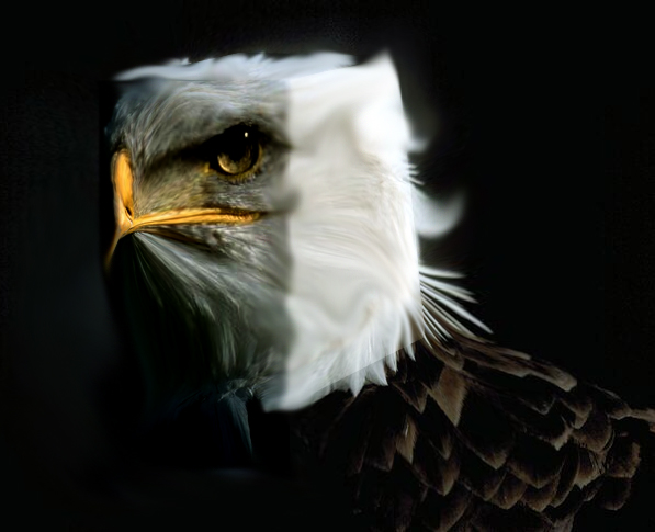 Photoshop Submission for 'Cubism 7' Contest | Design #9056674