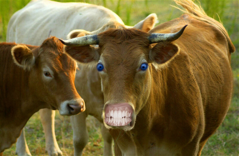 Photoshop Submission for 'Chopped Beef' Contest | Design #9054195