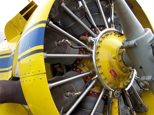 Photograph Submission for 'Da Plane, Da Plane' Contest | Design #9050581