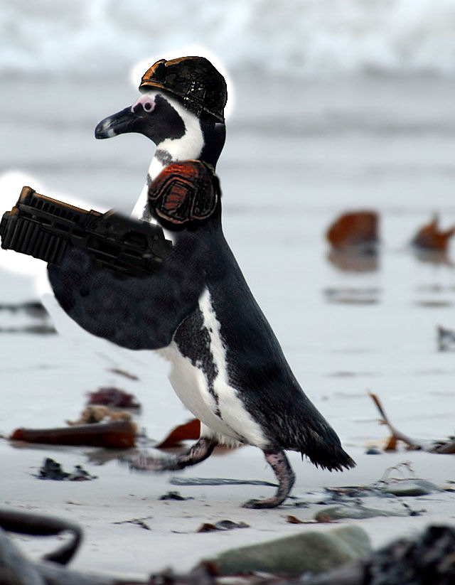 Photoshop Submission for 'Penguins' Contest | Design #9049842