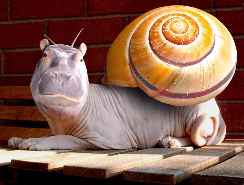 Photoshop Submission for 'Chimaera' Contest | Design #9030782