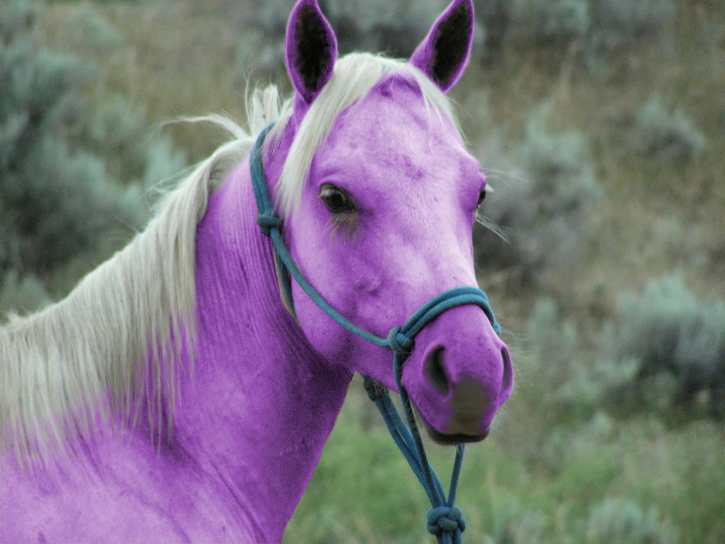 Photoshop Submission for 'Visual Puns 4' Contest | Design #9038081