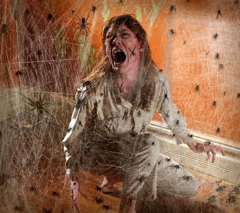 Photoshop Submission for 'Eight Legged Freaks' Contest | Design #9018604